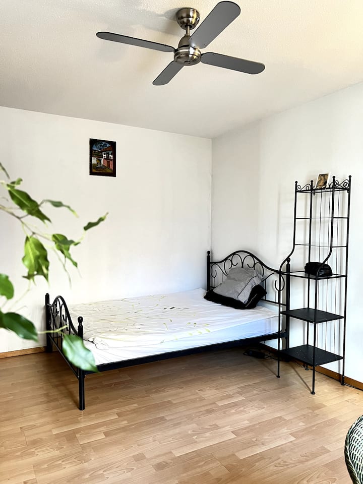 Central/cozy Room In Zurich - Zurich, Switzerland