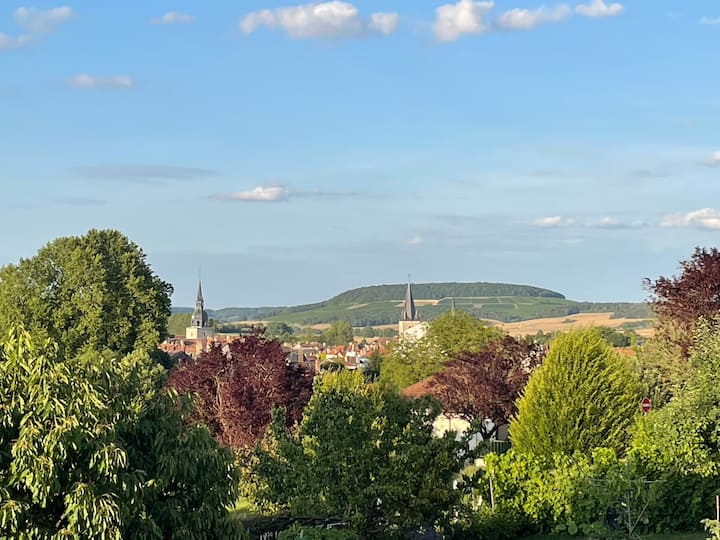 Chambre D'hôtes « La Colline » - Bar-sur-Aube