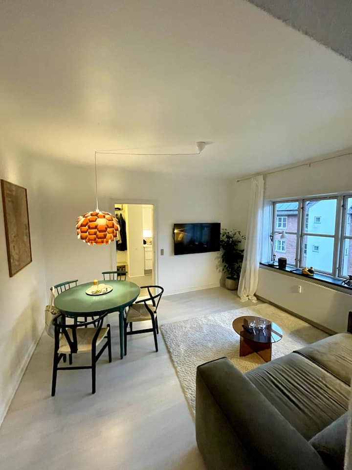 Hyggelig Lejlighed I Centrum - Odense