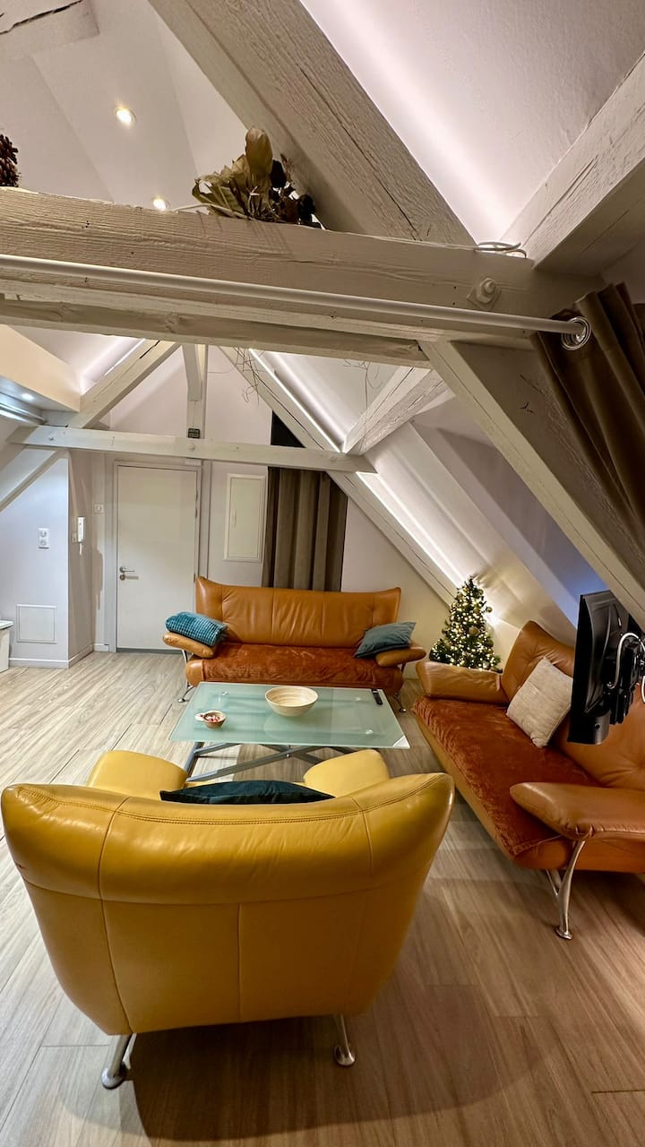 Superbe Loft Cosy Petite France - Strasbourg