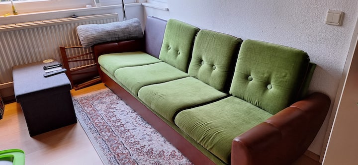 Central Spot For Cat Lovers - Kornwestheim