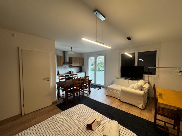 Studio Moderne Et Récent - Sion