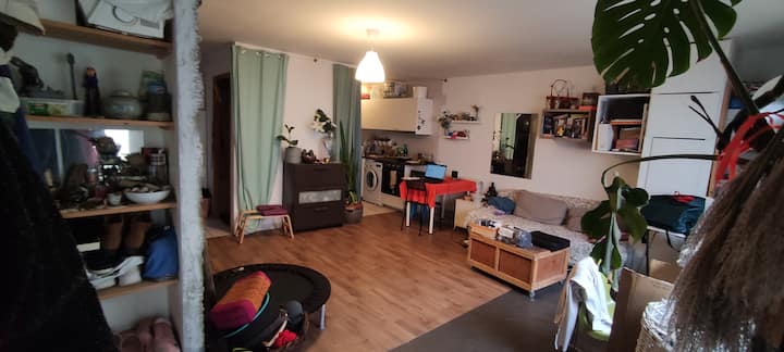Chambre Dans Un Duplex Partagé - Straatsburg
