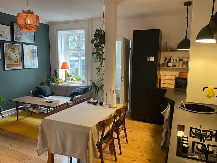 Hyggelig 2-værelses På Nørrebro - Copenhaguen