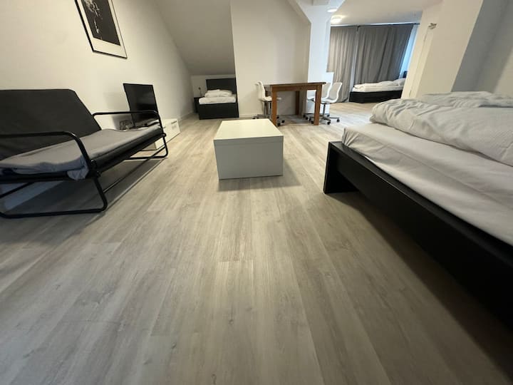 Spacy Loft + 1 Bedroom For 5 - Fráncfort del Meno