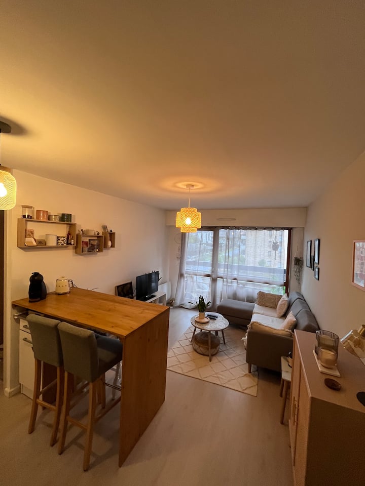 Appartement Cosy Et Calme - Sallanches