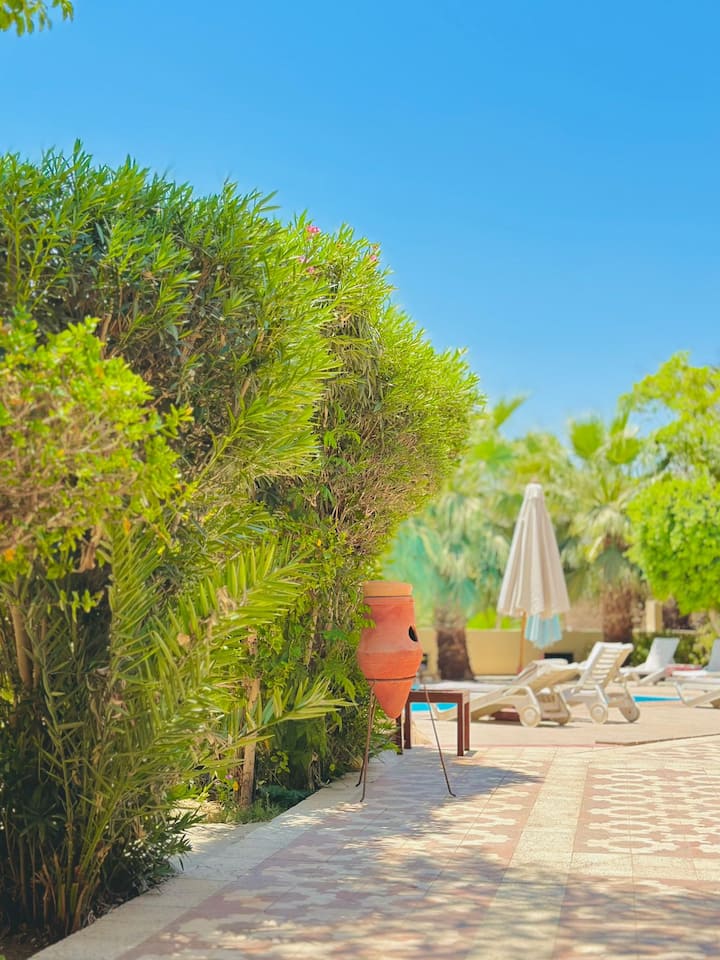 Luxor Guest's House In West Bank - Luxor