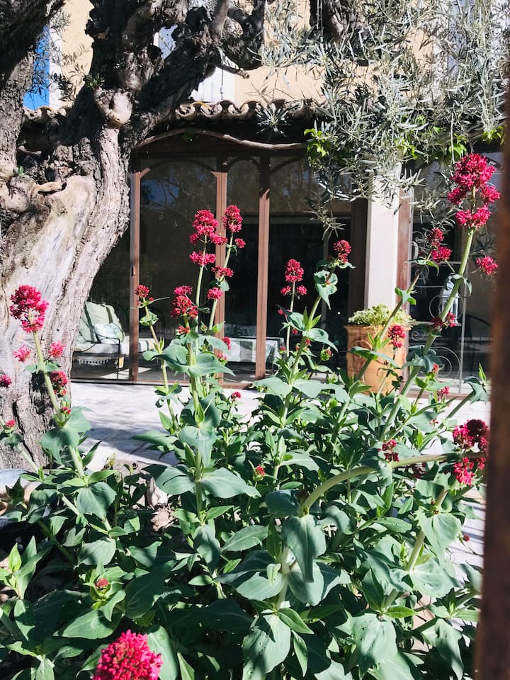 Bastidons Des Anges 4* - L'Isle-sur-la-Sorgue