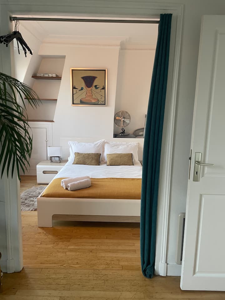 Real Parisian Flat Luxury Area - Paris