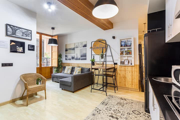 Center Historic, 2 Room, Peatonal Street. Wifi Ac - Valencia