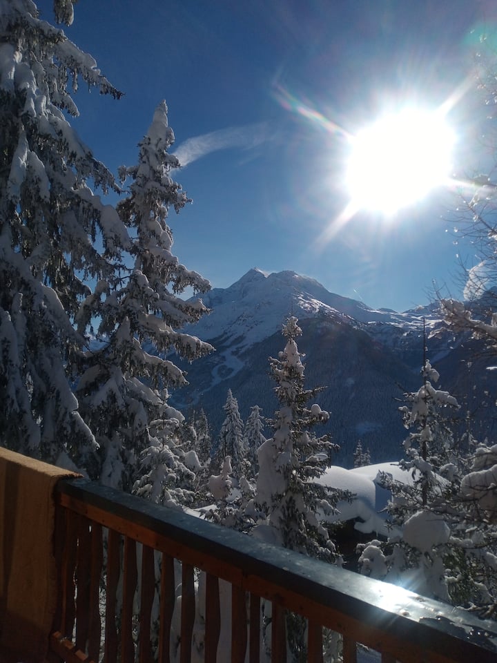 Studio Dans Un Chalet - La Rosière