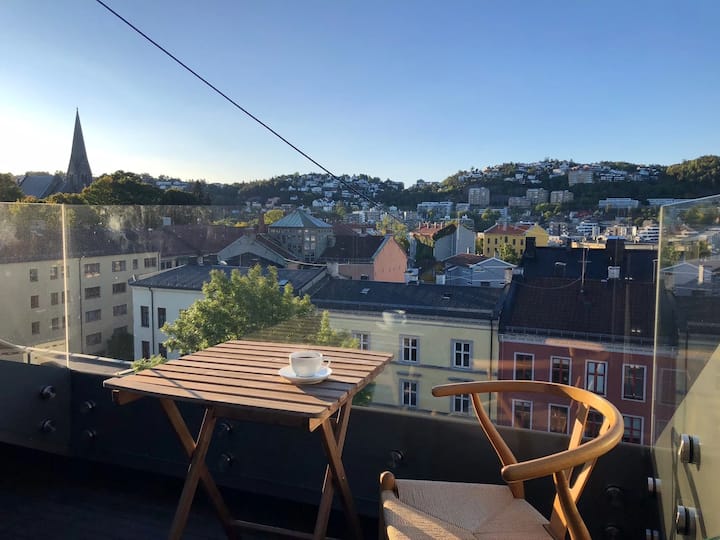 Modern Penthouse Central Oslo - Oslo
