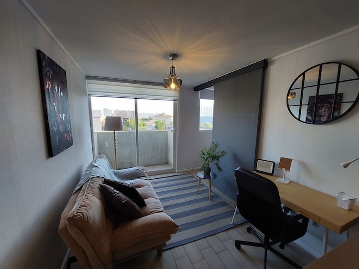 Apartamento Céntrico En Santiago - Chile