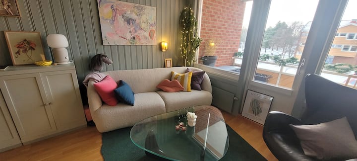 Behagelig Leilighet Og Atmosfære - Trondheim