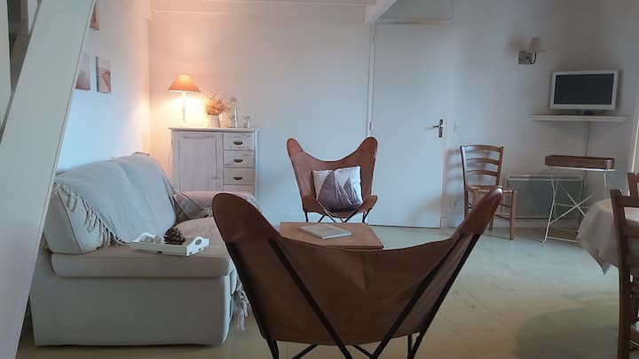 Maison De Vacances Aux Mathes/la Palmyre - Les Mathes