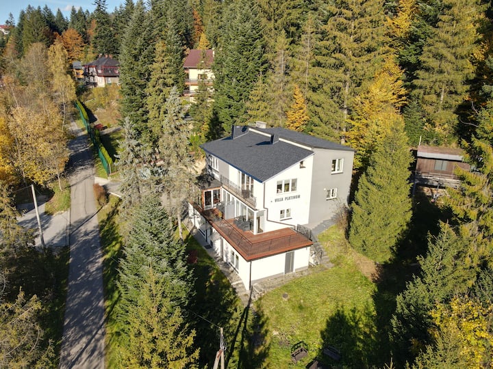 Villa Platinum - Wisła