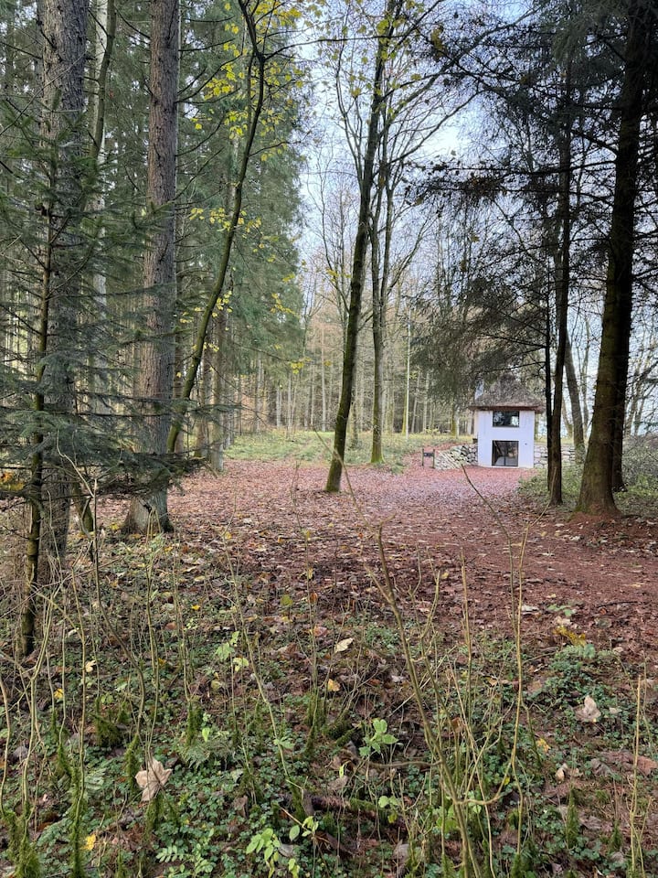 Skovhytten - Denmark