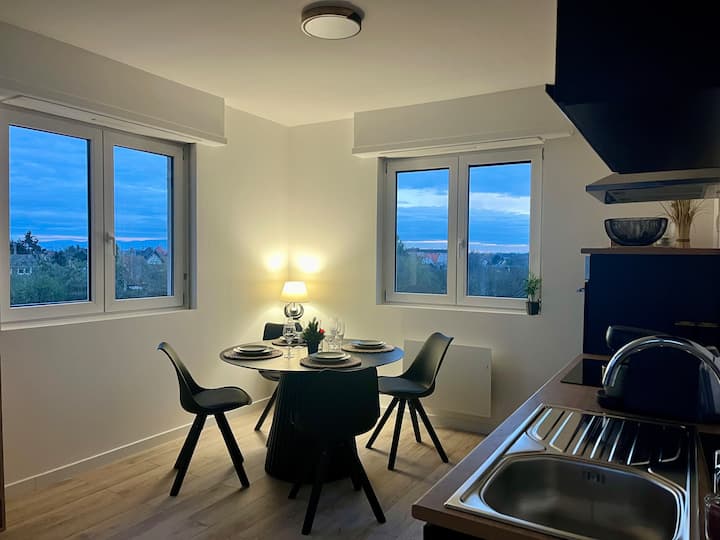 Les Mimosas, Appartement Confortable Et Lumineux - Bischwiller