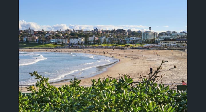 The Breeze On Ben Buckler - Coogee