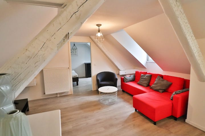 Appartement 3 Pièces - Colmar