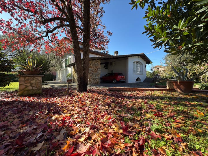 Villa Prestige Among The Vineyards Of Sarzana - Italy