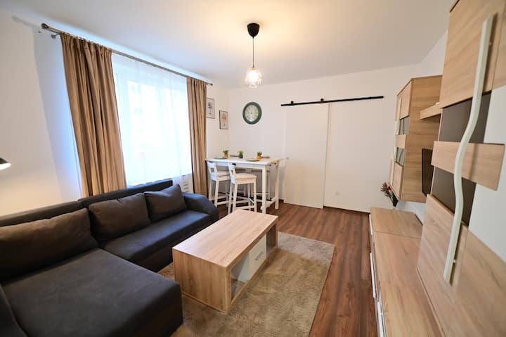 Flh - The Great Novel - Sibiu