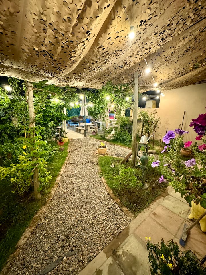 La Violeta Due - 산 페드로