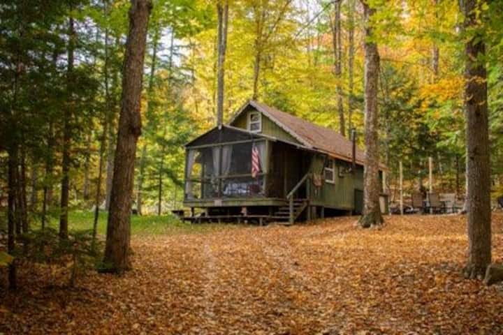 Bear Necessities - New Hampshire (State)