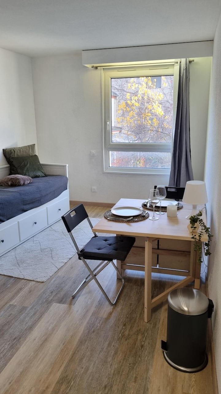 Studio En Plein Centre-ville - Strasbourg