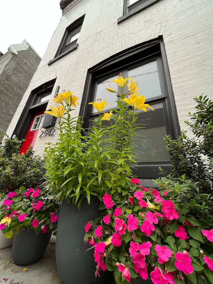 Your Artisan Philly Home: Brewerytown Bungalow - Philadelphia, PA