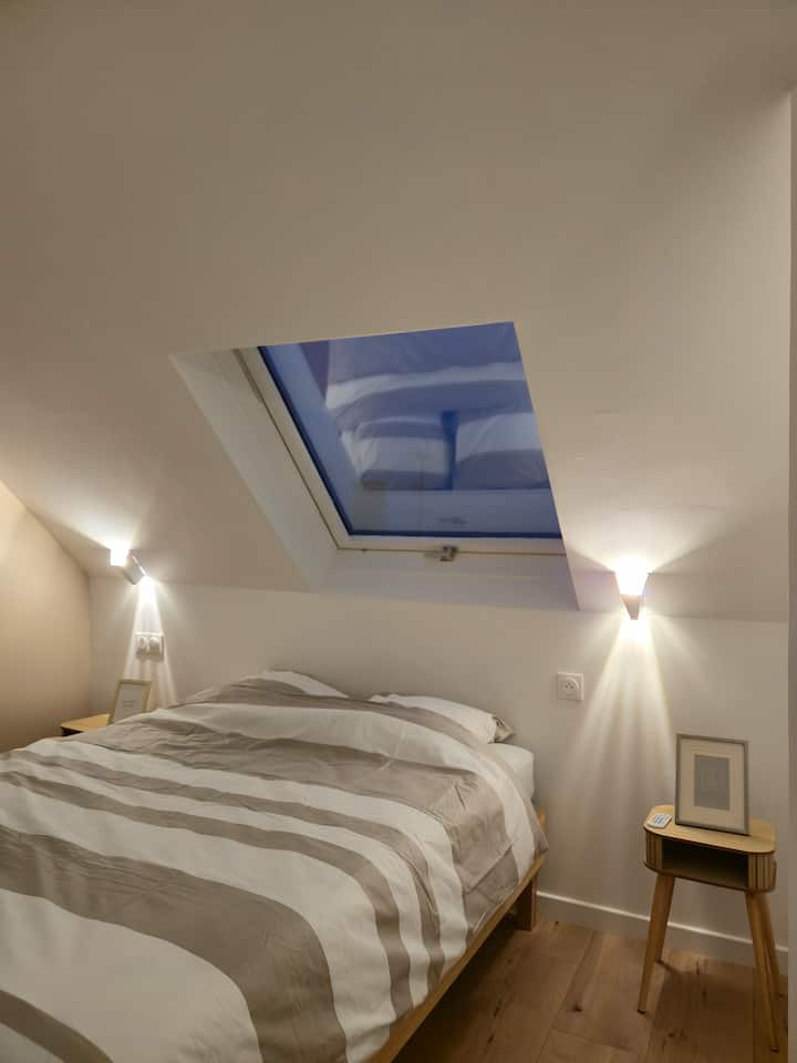 Combles Au Centre De Strasbourg Proche Gare - Strasbourg