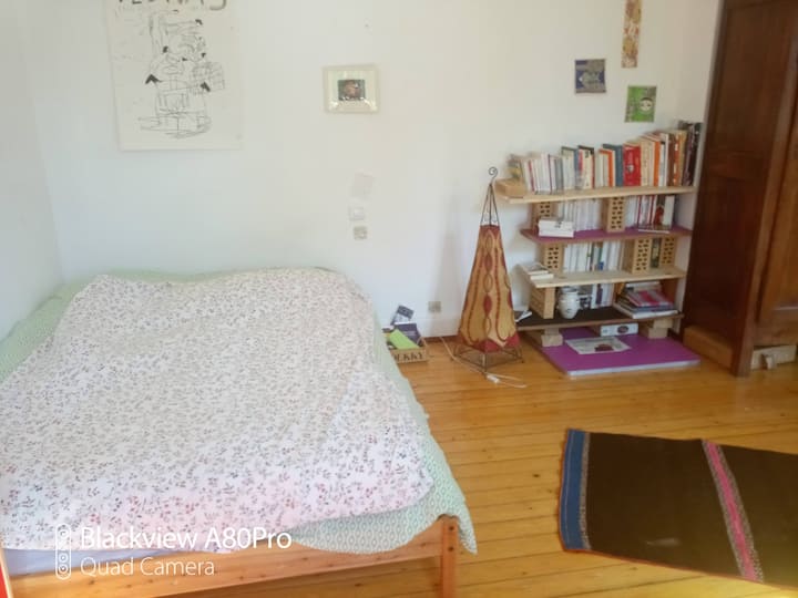 Grande Chambre à Louer Du 30/11 Au 13/12 - Strasbourg