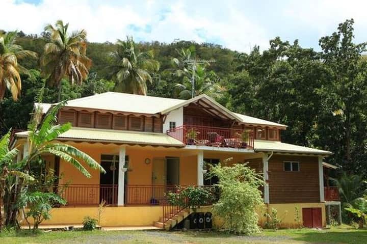 Studio Palmier Royal - Deshaies