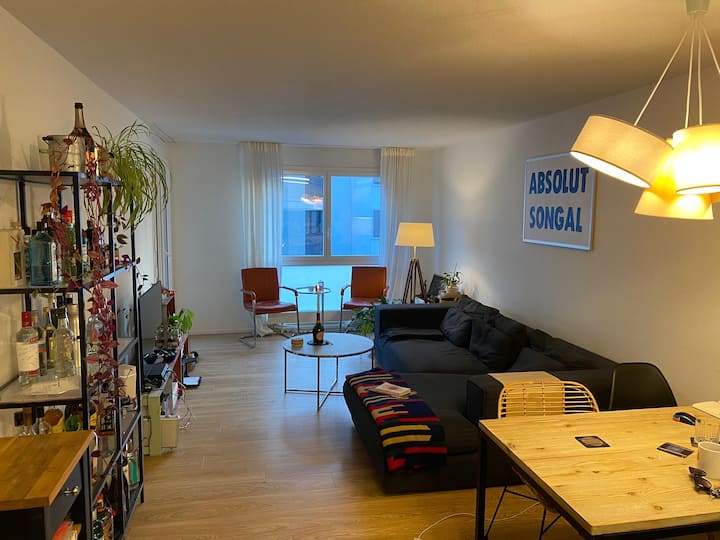 Modern Downtown Apartment - Zürich