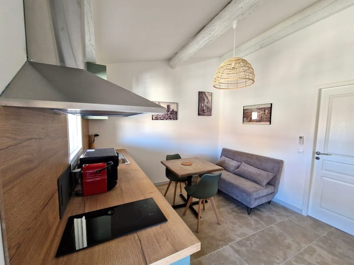 Appartement Avec Terrasse Centre Ville - Arlés