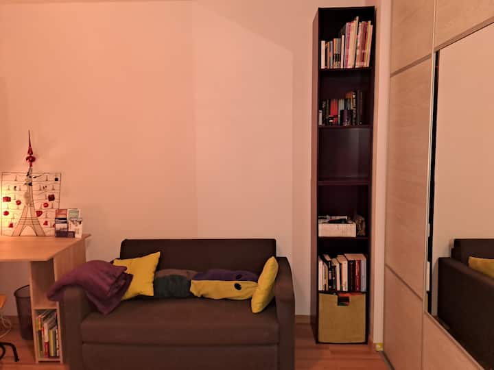 Chambre D'hôtes - Salle De Bain Partagée - Strasbourg