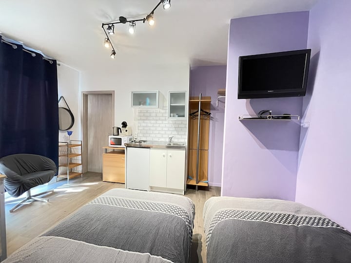 Cozy Compact Studio France - Bartenheim