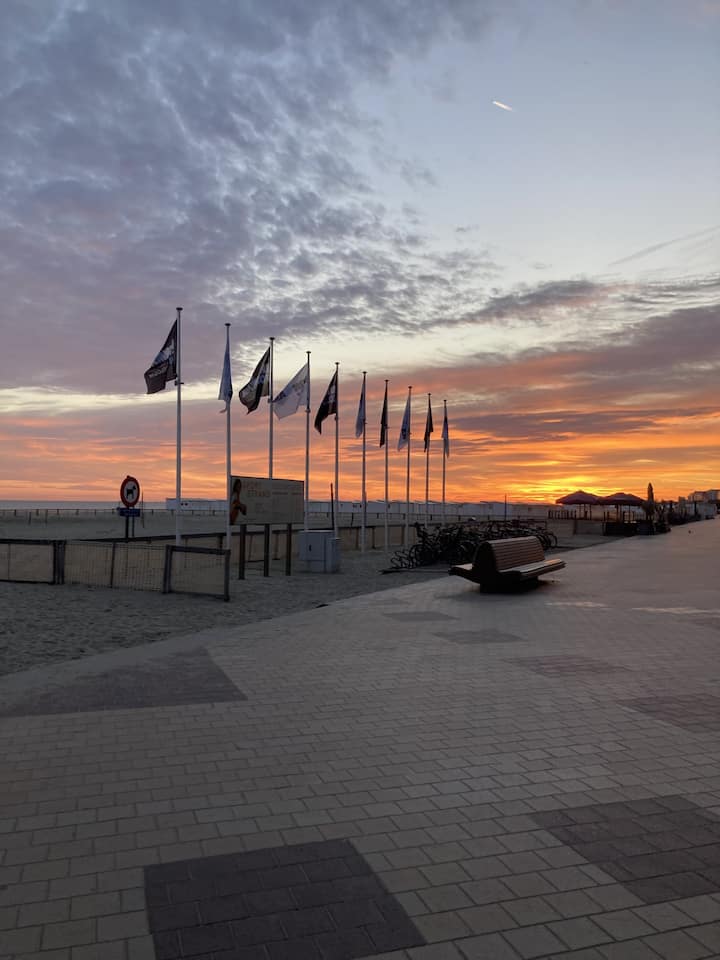 Residentie Sportstrand - Knocke-Heist