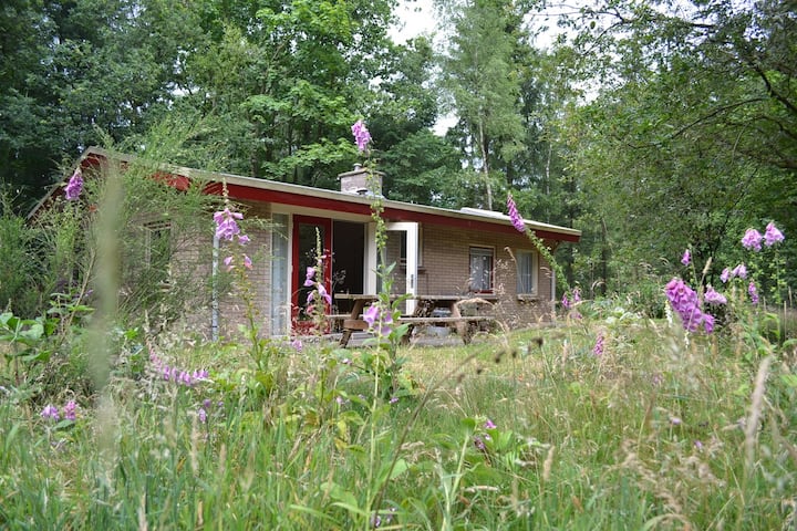 Bungalow Taxus - Harderwijk