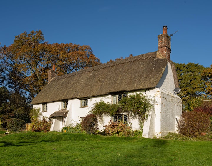 Little Lions Farm Cottage - Ringwood