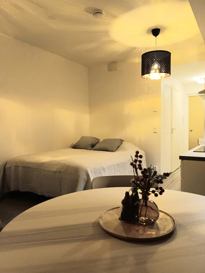 Lovely Studio Apartment Near The City Center No. 1 - Rovaniemi