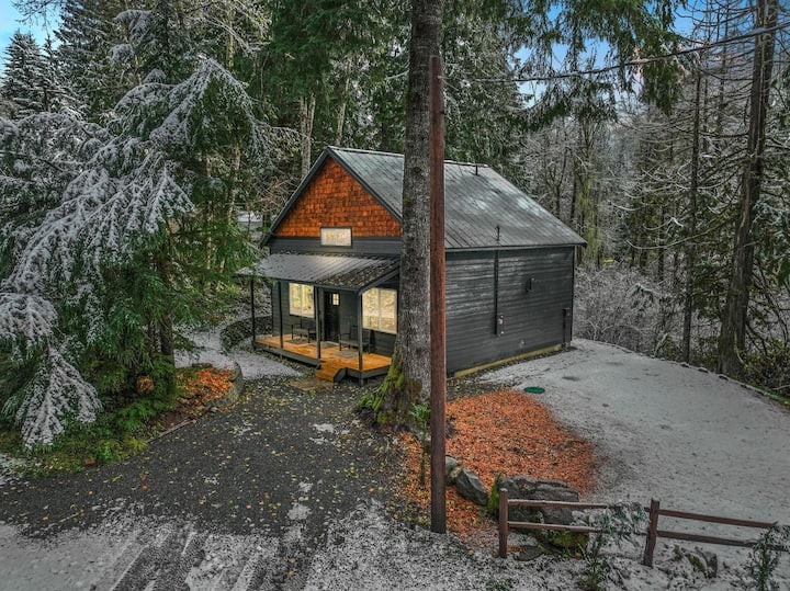 Dave's In Paradise @ Mt. Rainier-new Luxury Cabin! - Ashford, WA