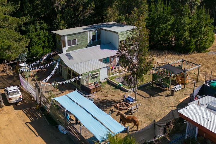The Roxy - Home - Pichilemu