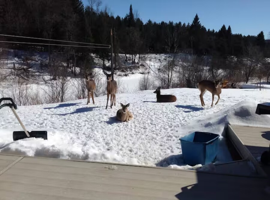La Rivière Rêveuse - Spa & Sauna - Maisons à louer à Boileau, Québec ...