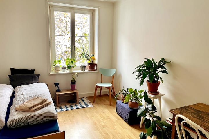 Cosy Room In Kleinbasel - Basel