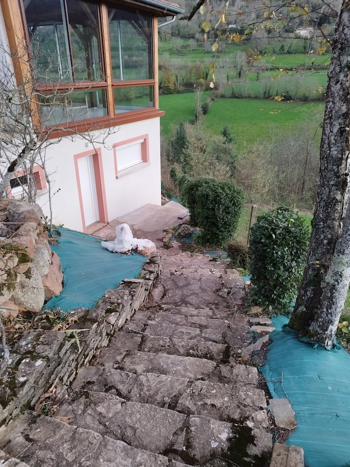 Appartement à St Just D'avray - Tarare