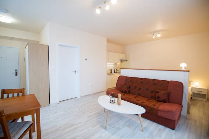Alpine Nest Studio, Top Location, Private Parking - Liptovský Mikuláš