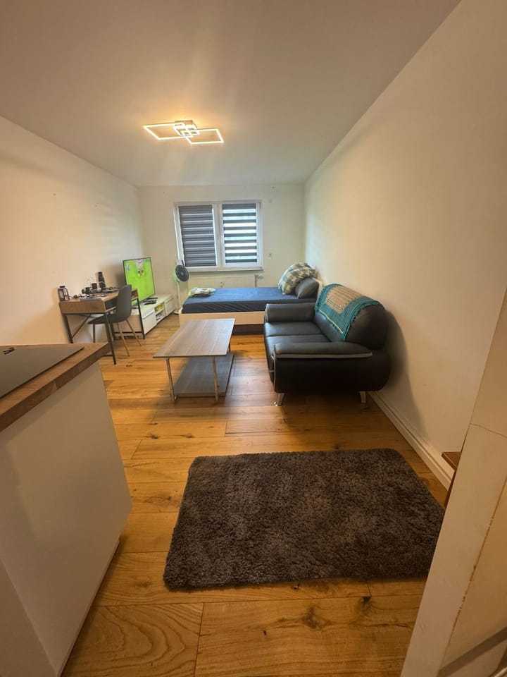 Studio For Rent - Schifferstadt