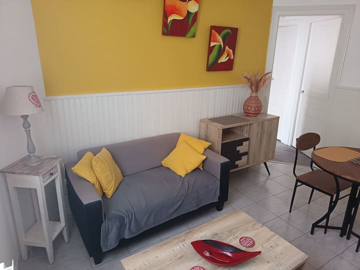 T2 Au Cœur Des Châteaux - Montrichard