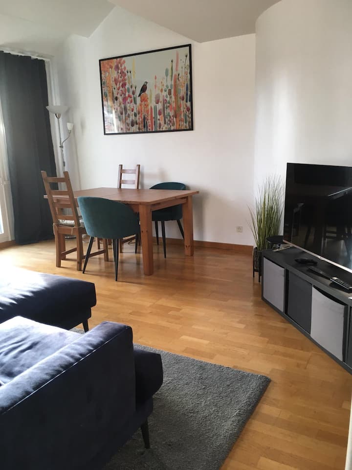 Appartement Calme Et Lumineux - Besançon
